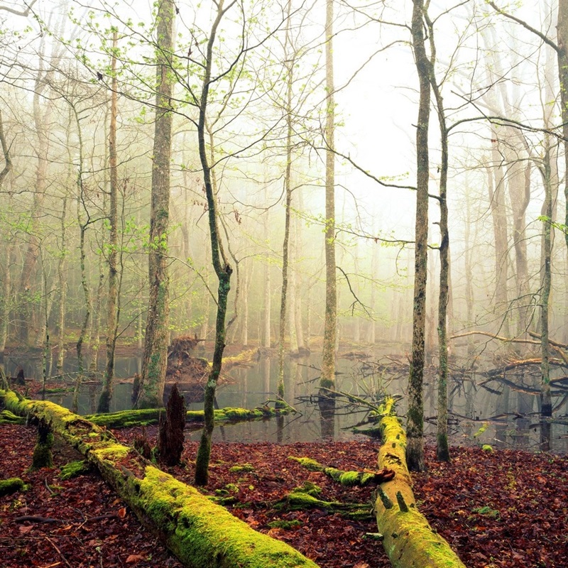 Jerry Whaley Wall Art & Canvas Prints | Great Big Canvas