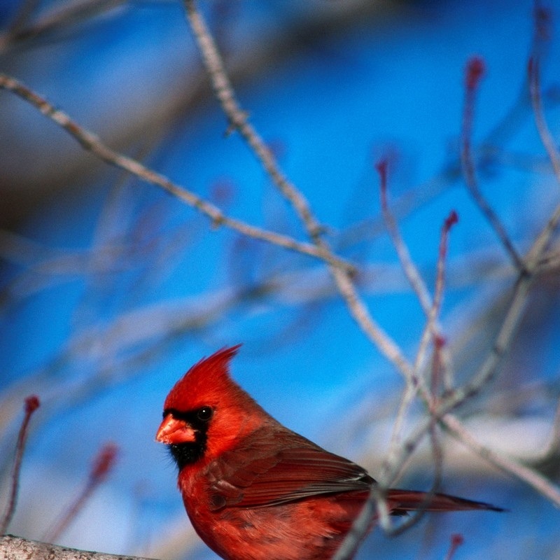 David Spier Wall Art & Canvas Prints | David Spier Panoramic Photos ...