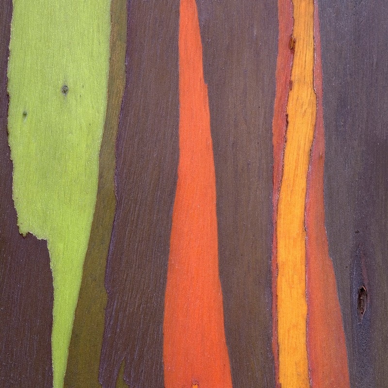 Peter Van Rhijn Wall Art & Canvas Prints | Peter Van Rhijn Panoramic ...