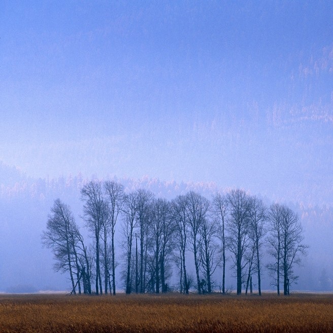 John Reddy Wall Art & Canvas Prints | Great Big Canvas