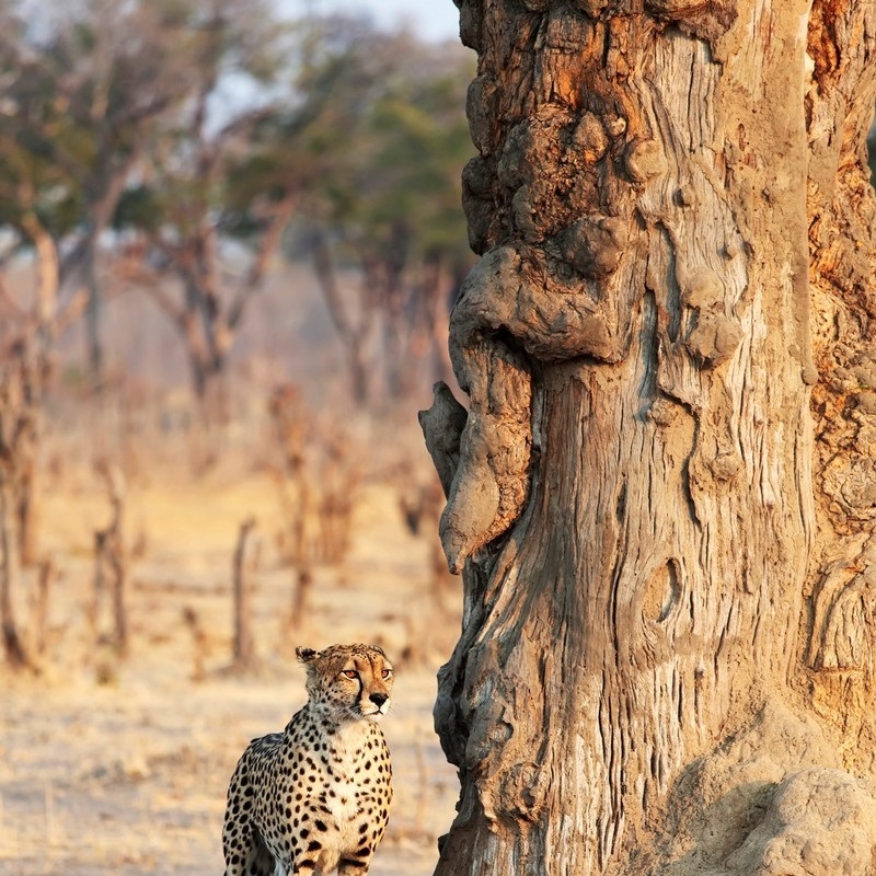 Christopher Colgate Wall Art & Canvas Prints | Christopher Colgate ...