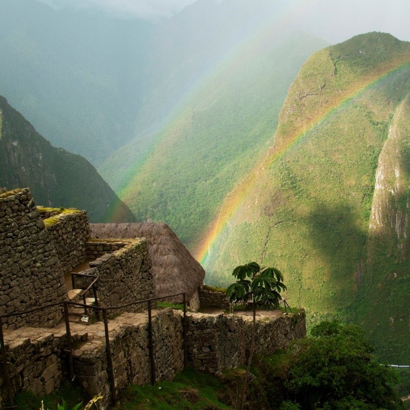 Emily Riddell Wall Art & Canvas Prints | Great Big Canvas