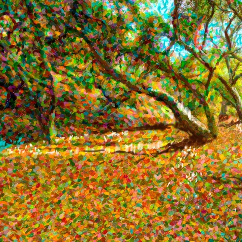 Angela A Stanton Wall Art & Canvas Prints | Great Big Canvas