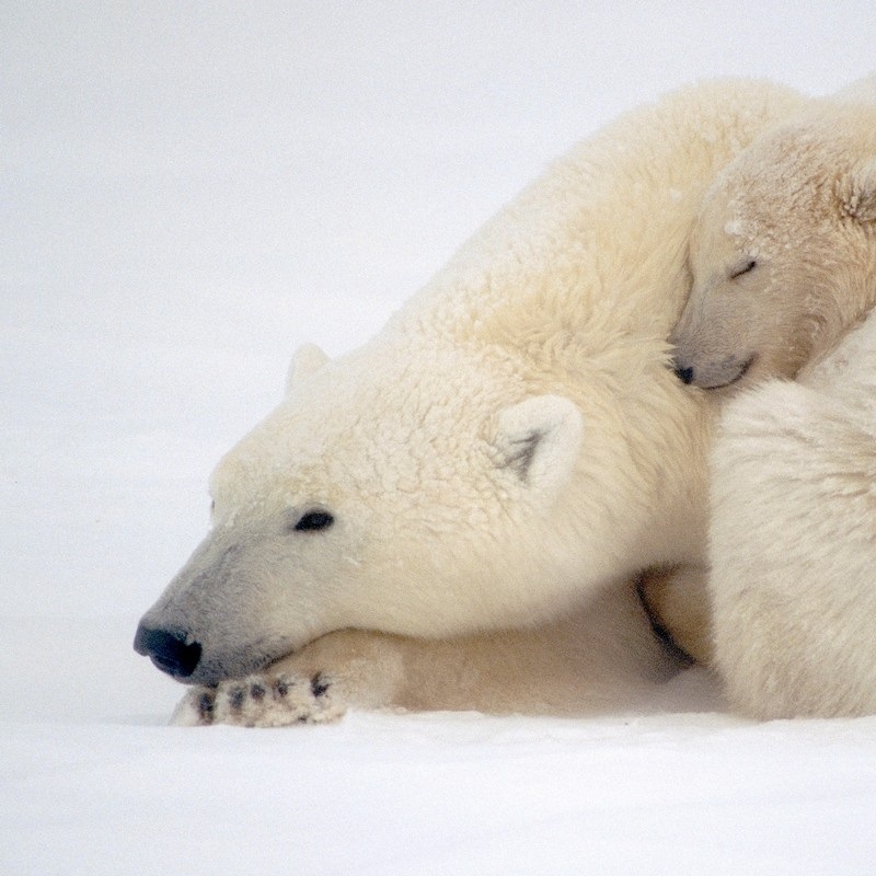 Kenneth R. Whitten Wall Art & Canvas Prints | Great Big Canvas