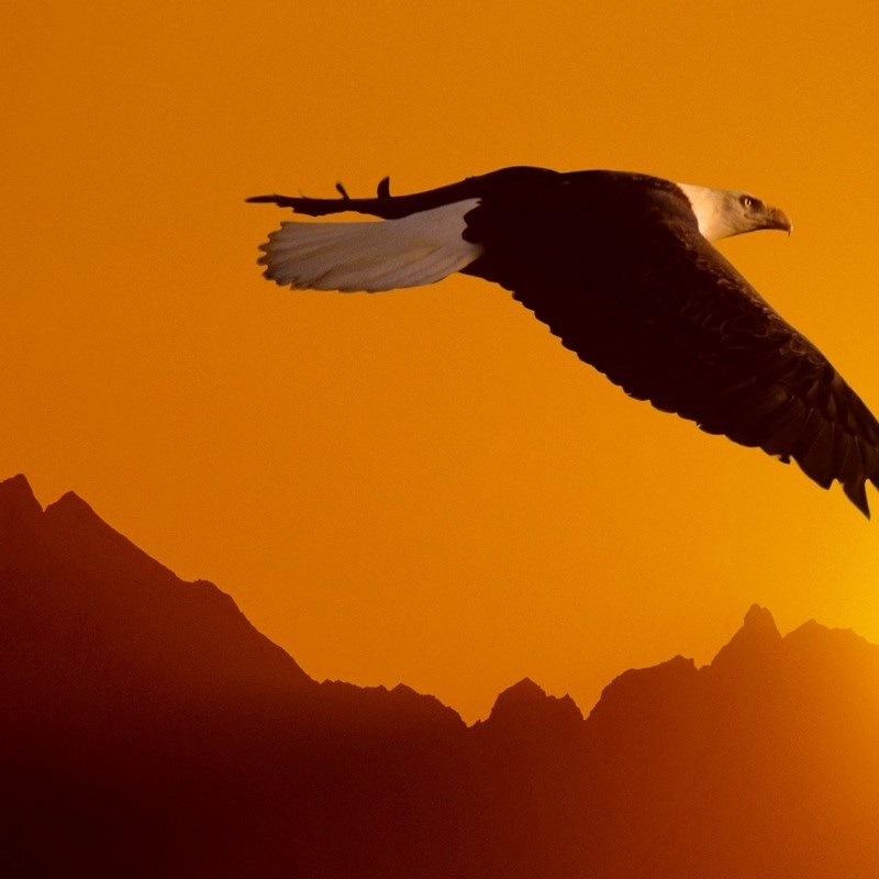 John Warden Wall Art & Canvas Prints | Great Big Canvas