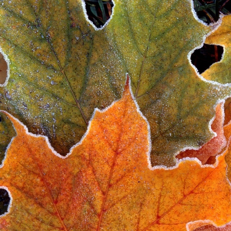 Danny Daniels Wall Art & Canvas Prints | Danny Daniels Panoramic Photos ...