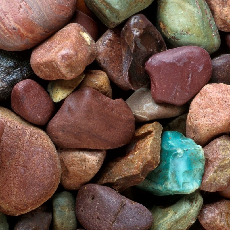 Chris Arend Wall Art & Canvas Prints | Great Big Canvas