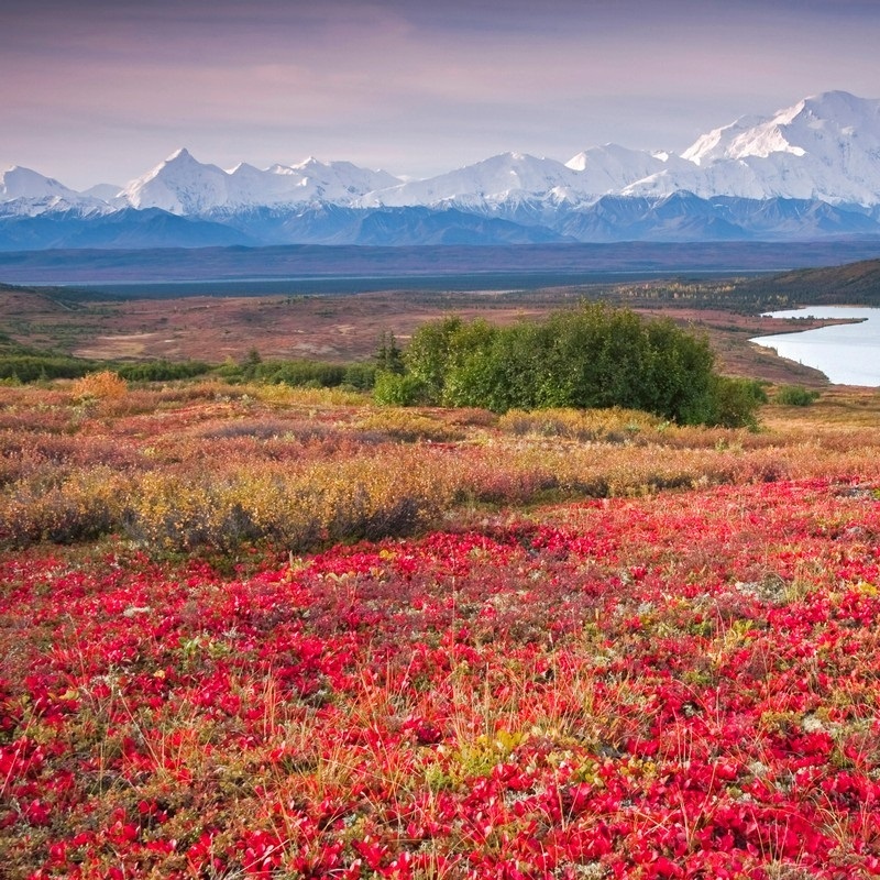 Lynn Wegener Wall Art & Canvas Prints | Lynn Wegener Panoramic Photos ...