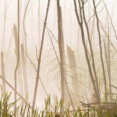 Andrew Collett Wall Art & Canvas Prints | Great Big Canvas