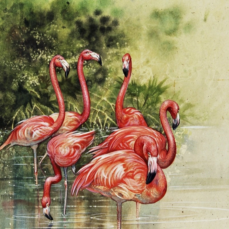 Flamingo Wall Art & Canvas Prints | Flamingo Panoramic Photos, Posters ...