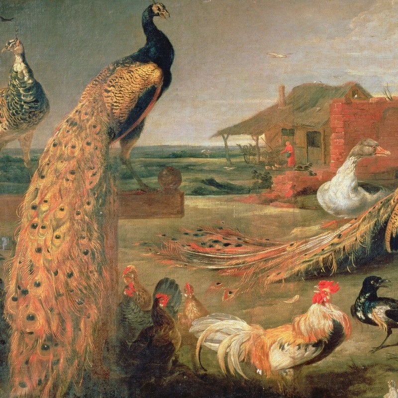 Paul de Vos Wall Art & Canvas Prints | Great Big Canvas