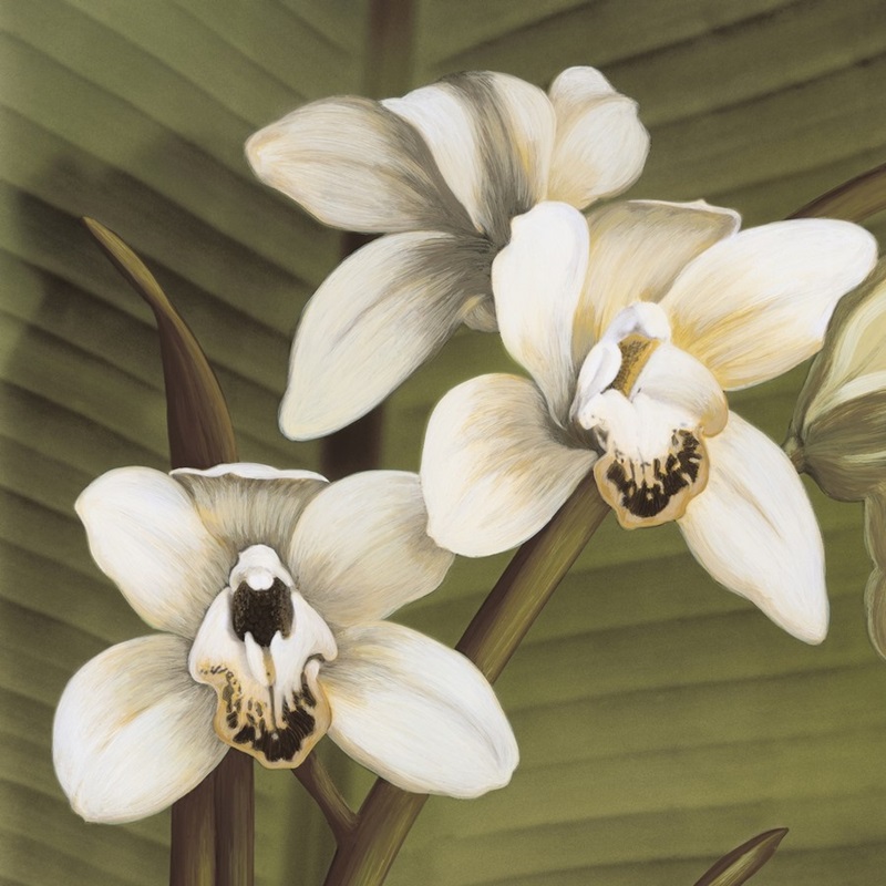 Andrea Trivelli Wall Art & Canvas Prints | Great Big Canvas