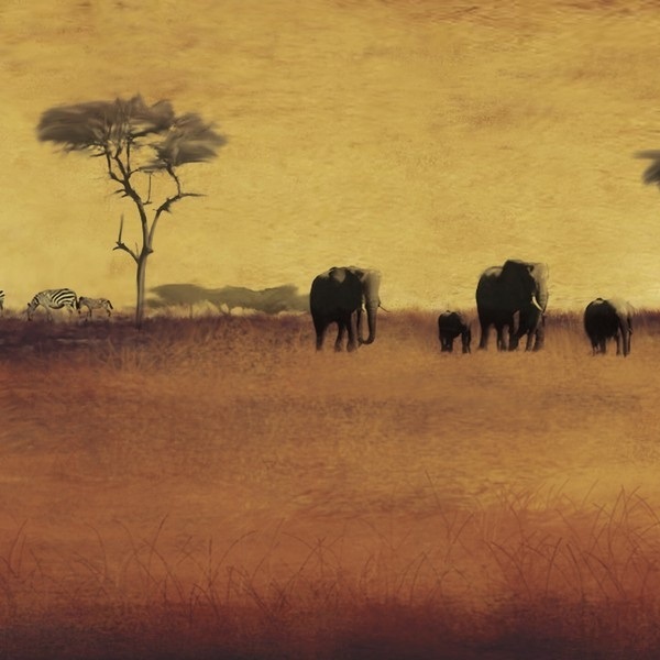 Tandi Venter Wall Art & Canvas Prints | Great Big Canvas