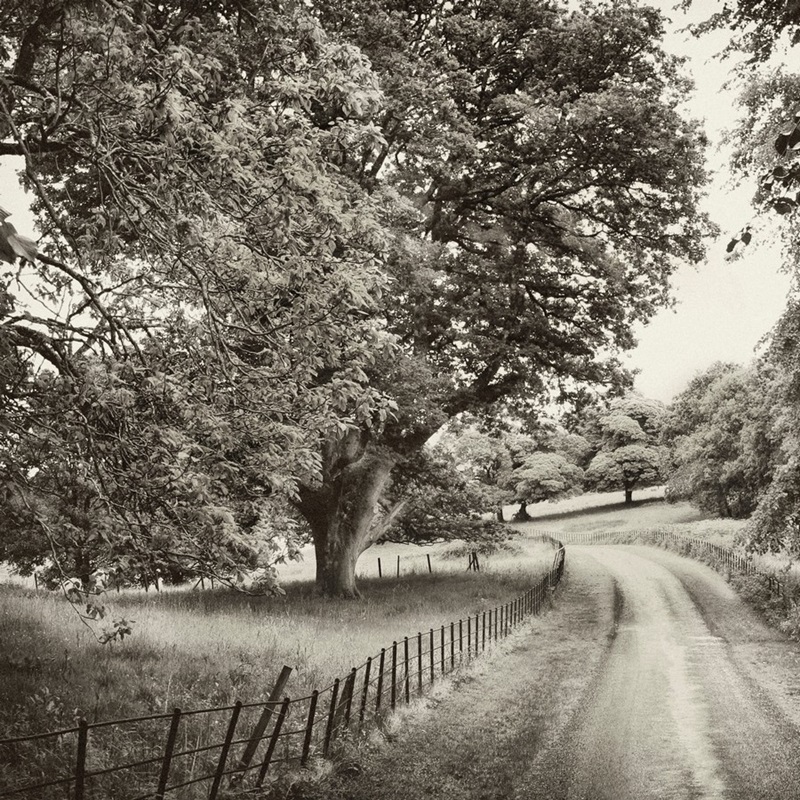 Janel Pahl Wall Art & Canvas Prints | Janel Pahl Panoramic Photos ...