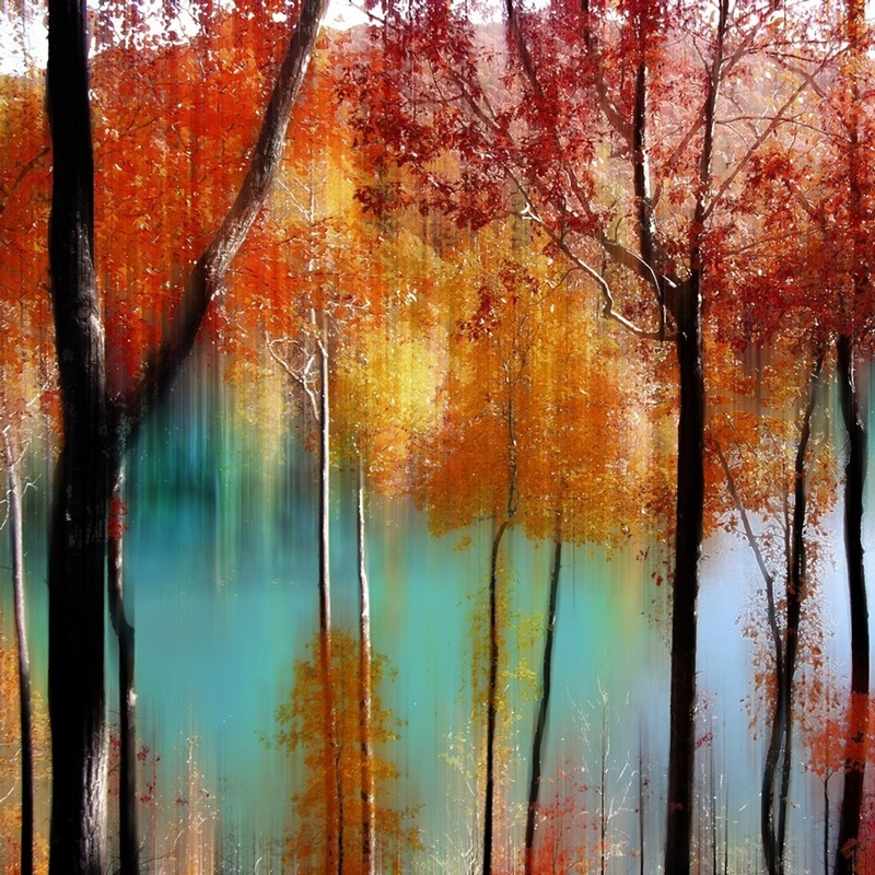 Alex Hanson Wall Art & Canvas Prints | Great Big Canvas