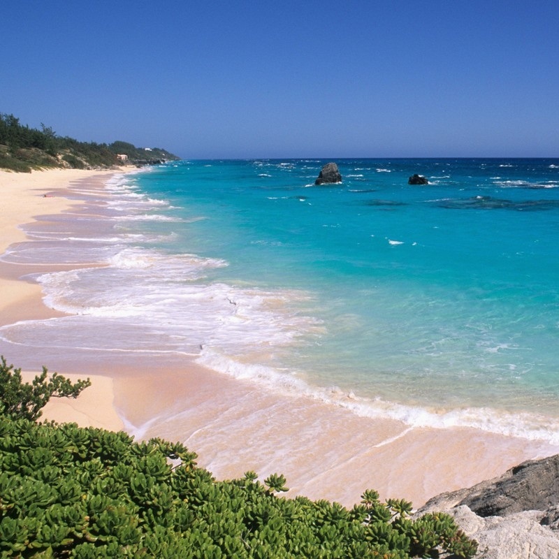 John Bachmann Wall Art & Canvas Prints | Great Big Canvas