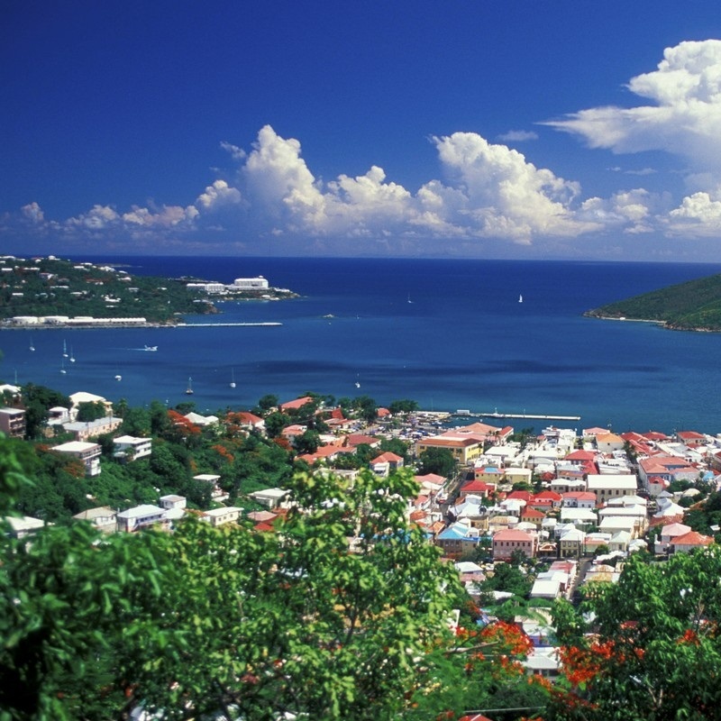 Robin Hill Wall Art & Canvas Prints | Great Big Canvas