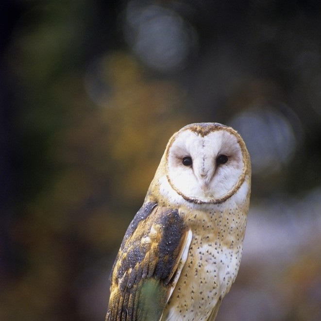 John Alves Wall Art & Canvas Prints | Great Big Canvas