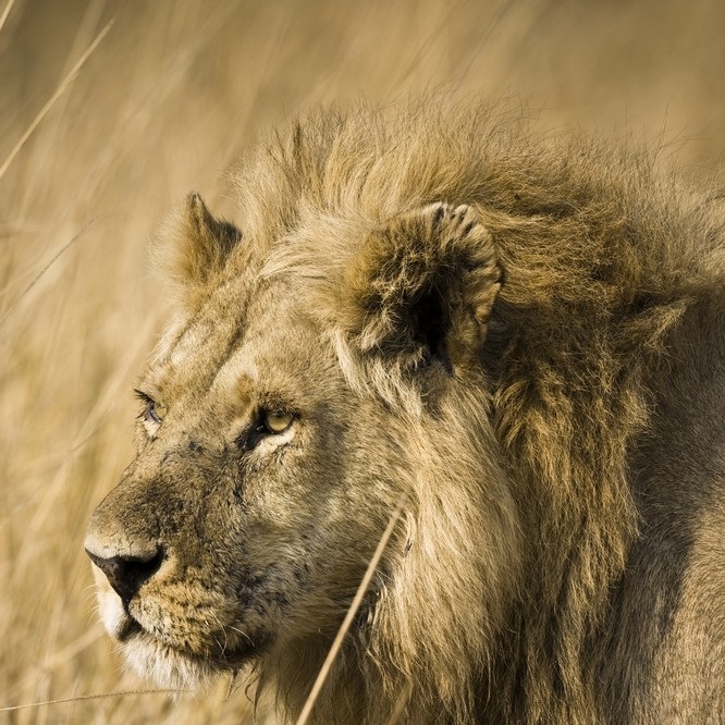 Janet Muir Wall Art & Canvas Prints | Janet Muir Panoramic Photos ...