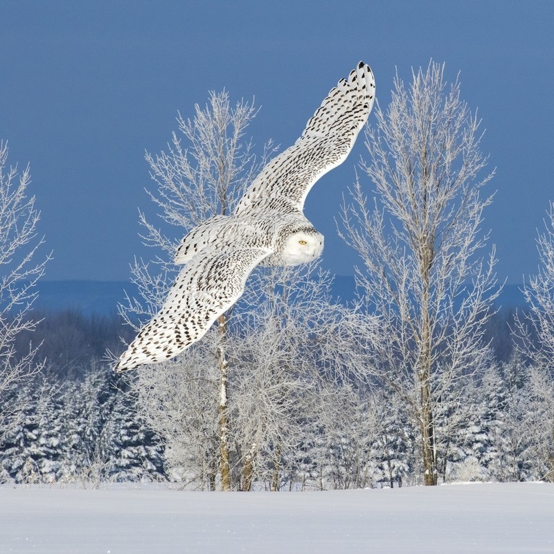 Jim Zuckerman Wall Art & Canvas Prints | Great Big Canvas