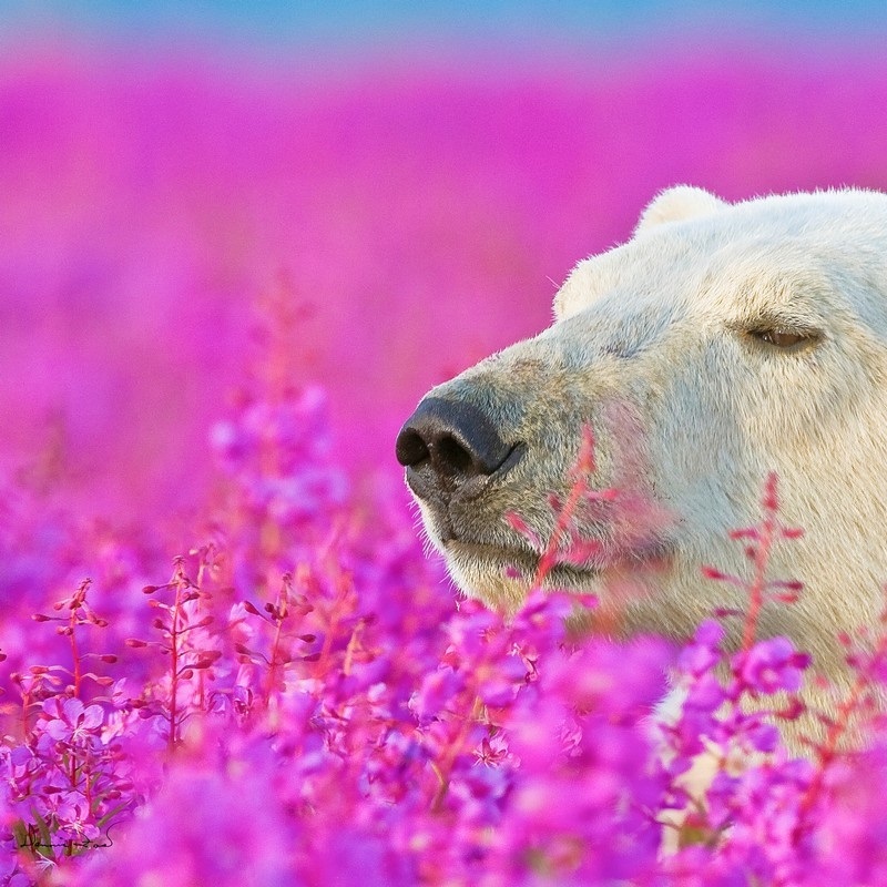 Dennis Fast Wall Art & Canvas Prints | Great Big Canvas