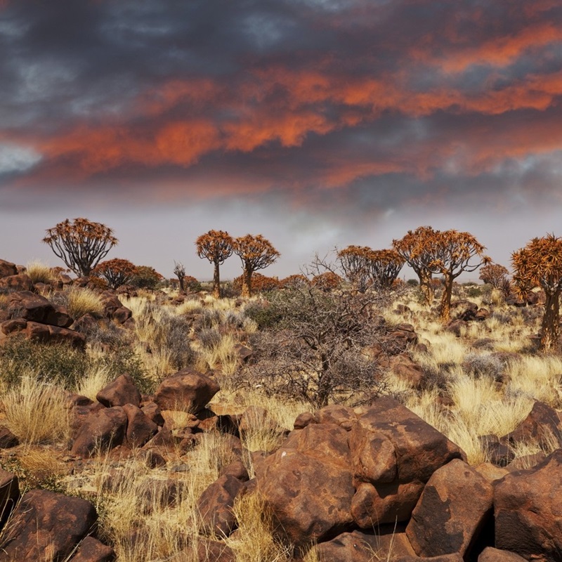 Namibia Wall Art & Canvas Prints | Namibia Panoramic Photos, Posters ...