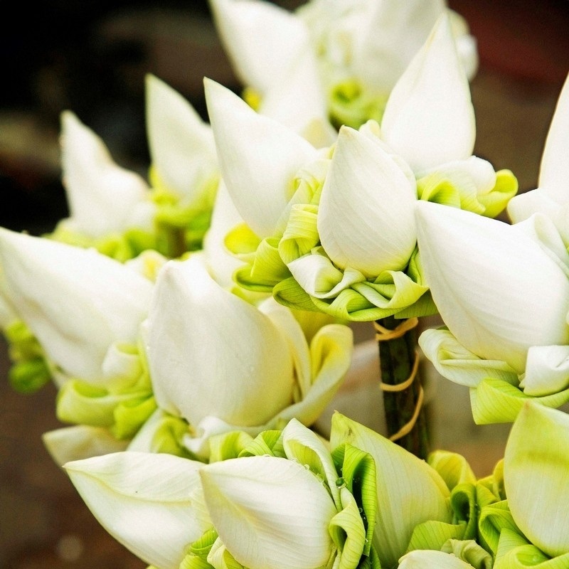 Joe Murador Wall Art & Canvas Prints | Joe Murador Panoramic Photos ...