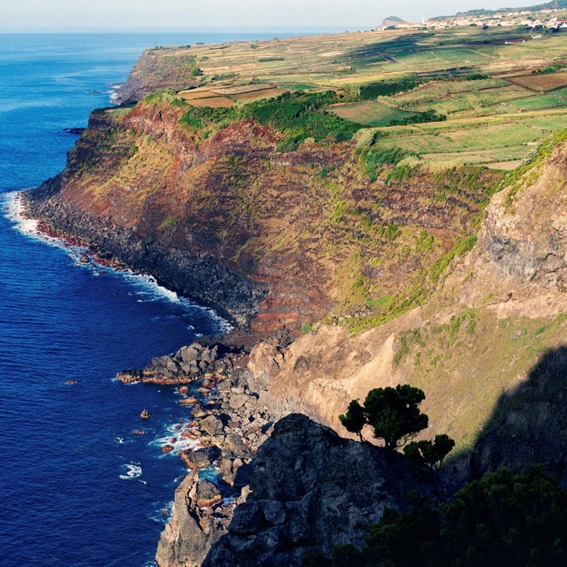 Lisa Linder Wall Art & Canvas Prints | Great Big Canvas