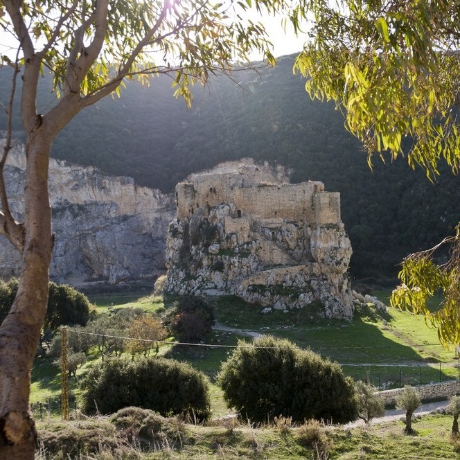 Roberto Morelli Wall Art & Canvas Prints | Great Big Canvas