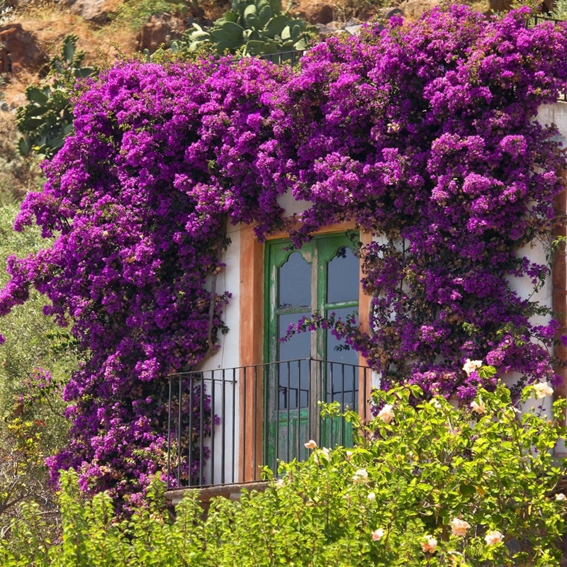 Giorgio Filippini Wall Art & Canvas Prints | Great Big Canvas