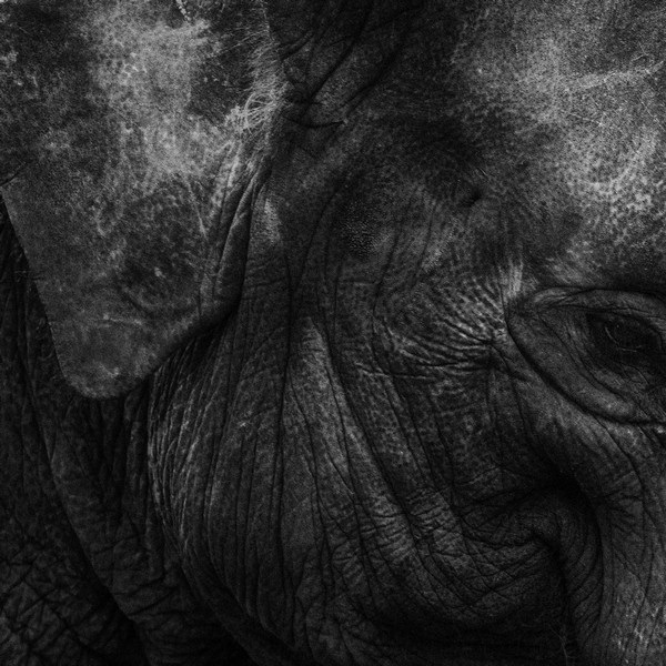 Andy Callan Wall Art & Canvas Prints | Andy Callan Panoramic Photos ...