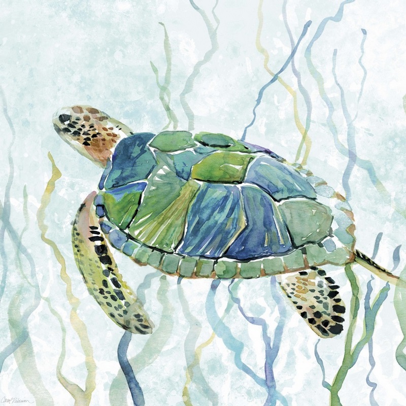 Marine Life Wall Art & Canvas Prints | Marine Life Panoramic Photos ...