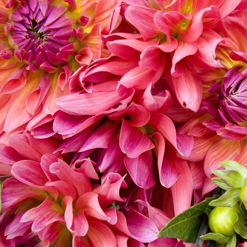 Maureen Love Wall Art & Canvas Prints | Great Big Canvas