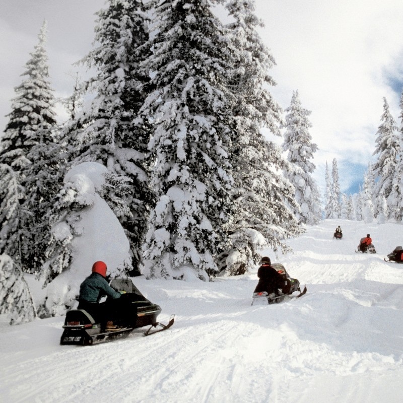 Snowmobiling Wall Art & Canvas Prints | Great Big Canvas