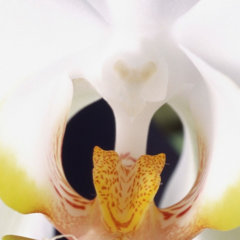 Sean De Burca Wall Art & Canvas Prints | Great Big Canvas