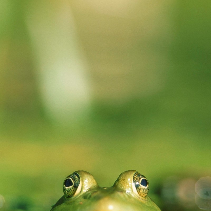 Stephen Maka Wall Art & Canvas Prints | Great Big Canvas