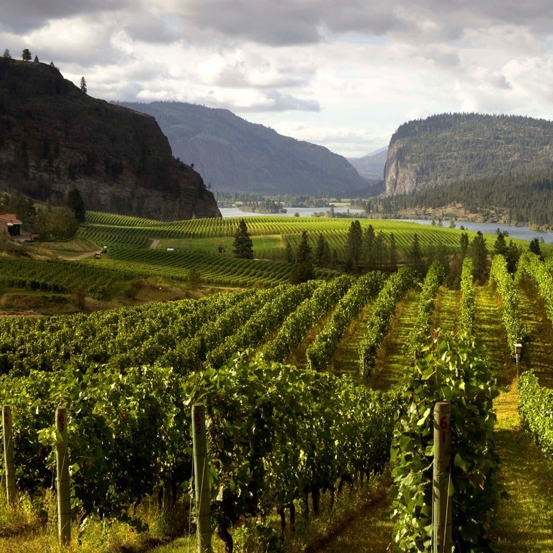 Benjamin Rondel Wall Art & Canvas Prints | Benjamin Rondel Panoramic ...