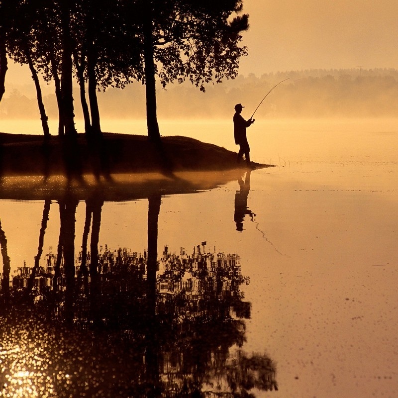 Peter Beck Wall Art & Canvas Prints | Great Big Canvas