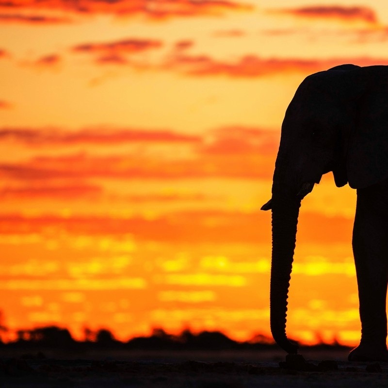 Jami Tarris Wall Art & Canvas Prints | Great Big Canvas