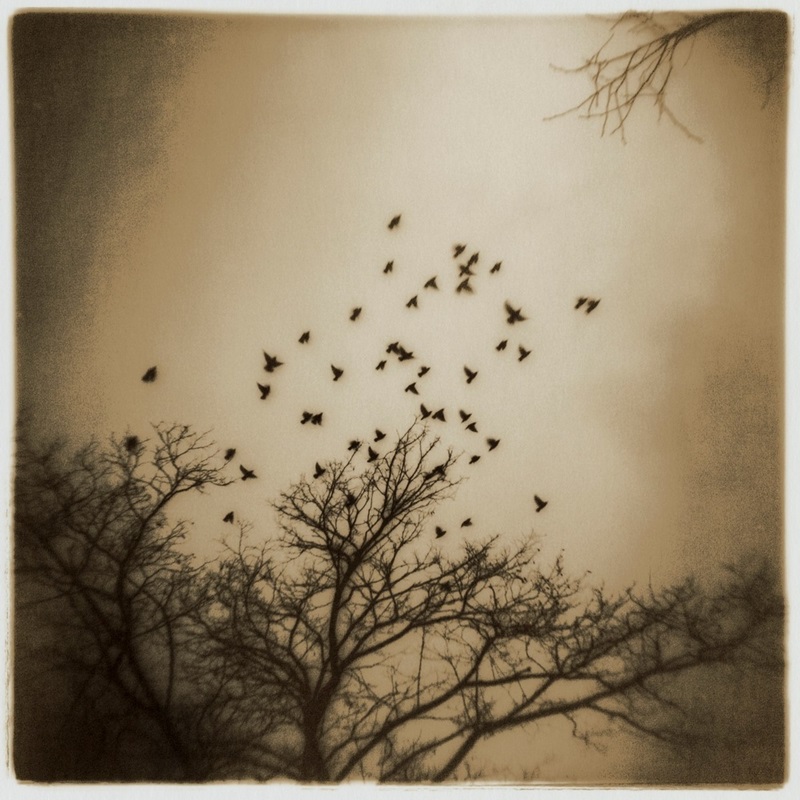 Kevin Cruff Wall Art & Canvas Prints | Kevin Cruff Panoramic Photos ...