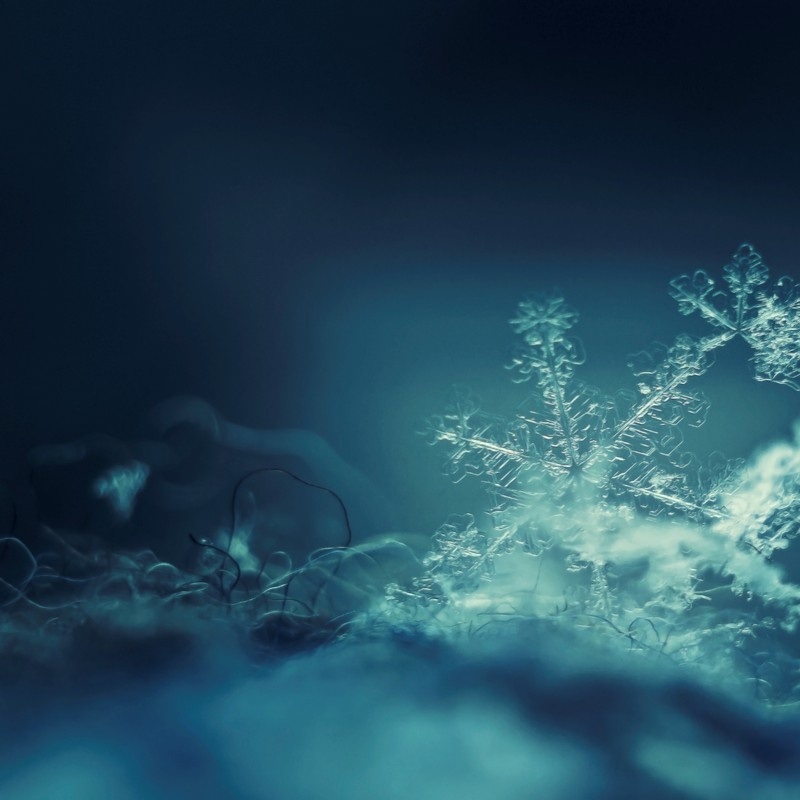Ice and Frost Wall Art & Canvas Prints | Great Big Canvas