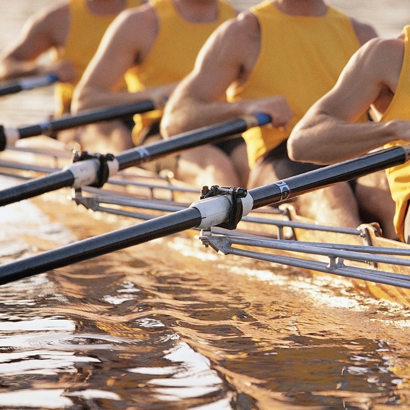 Rowing Wall Art & Canvas Prints | Rowing Panoramic Photos, Posters ...