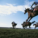 Horse Racing Canvas Art Prints | Horse Racing Panoramic Photos, Posters ...