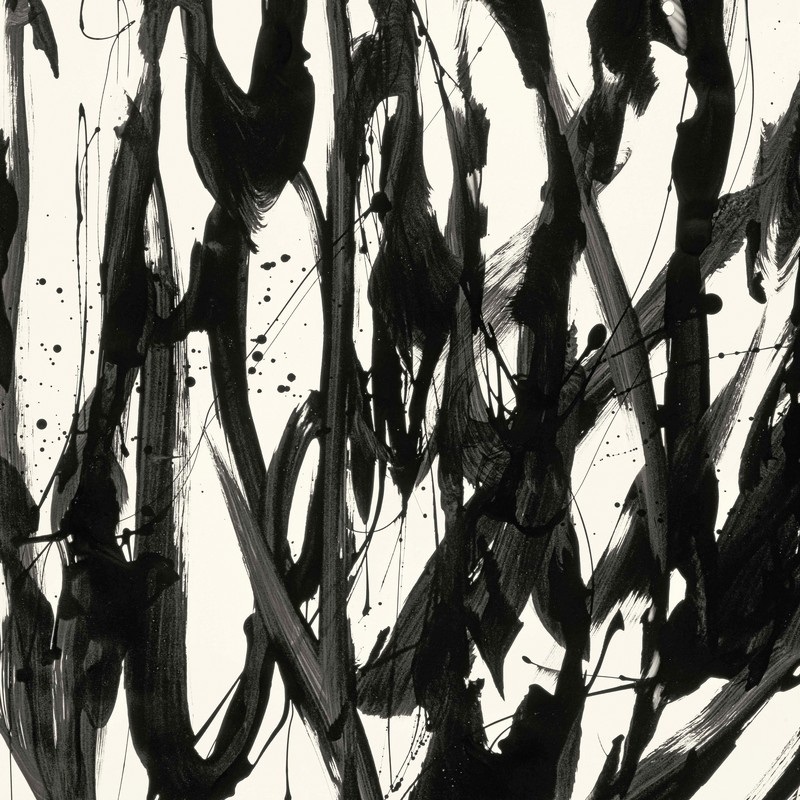 PN Studio Wall Art & Canvas Prints | Great Big Canvas