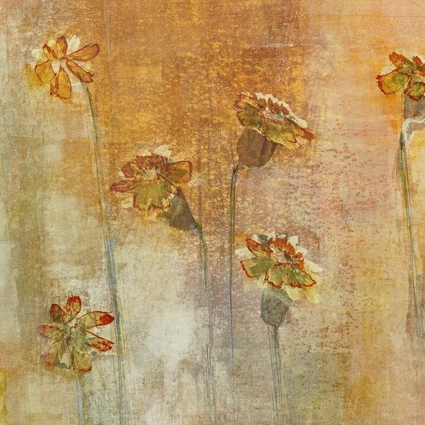 Maeve Harris Wall Art & Canvas Prints | Maeve Harris Panoramic Photos ...