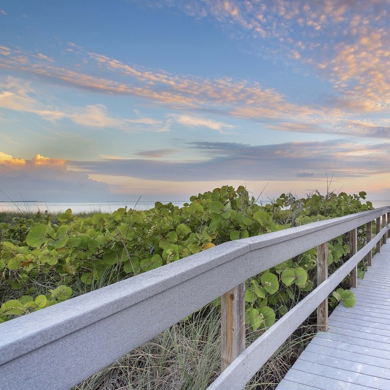 Andrew Vernon Wall Art & Canvas Prints | Great Big Canvas