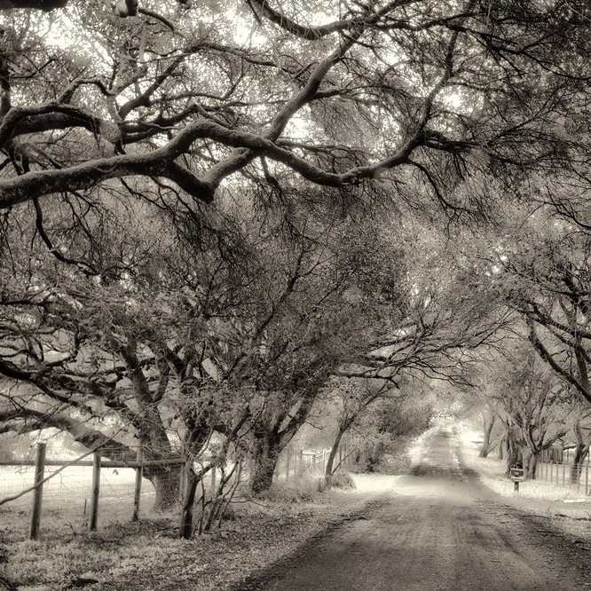 Lucy Aron Wall Art & Canvas Prints | Great Big Canvas