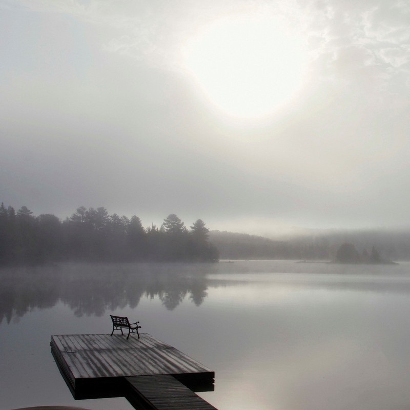 Doug Hamilton Wall Art & Canvas Prints | Great Big Canvas