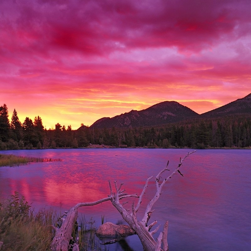 Regula Heeb-Zweifel Wall Art & Canvas Prints | Great Big Canvas