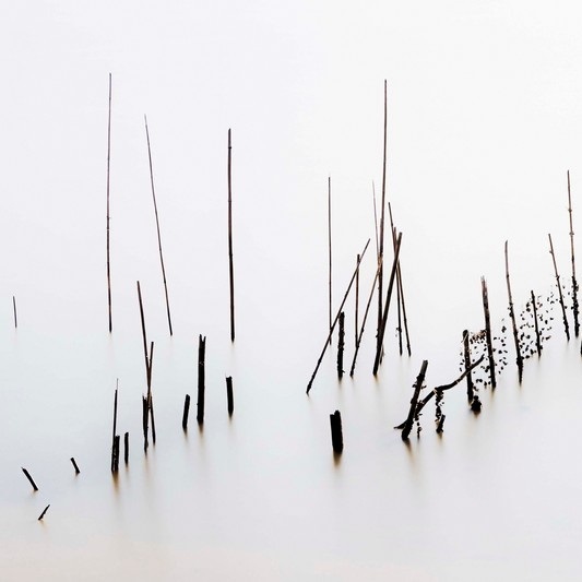 Tim Mannakee Wall Art & Canvas Prints | Great Big Canvas